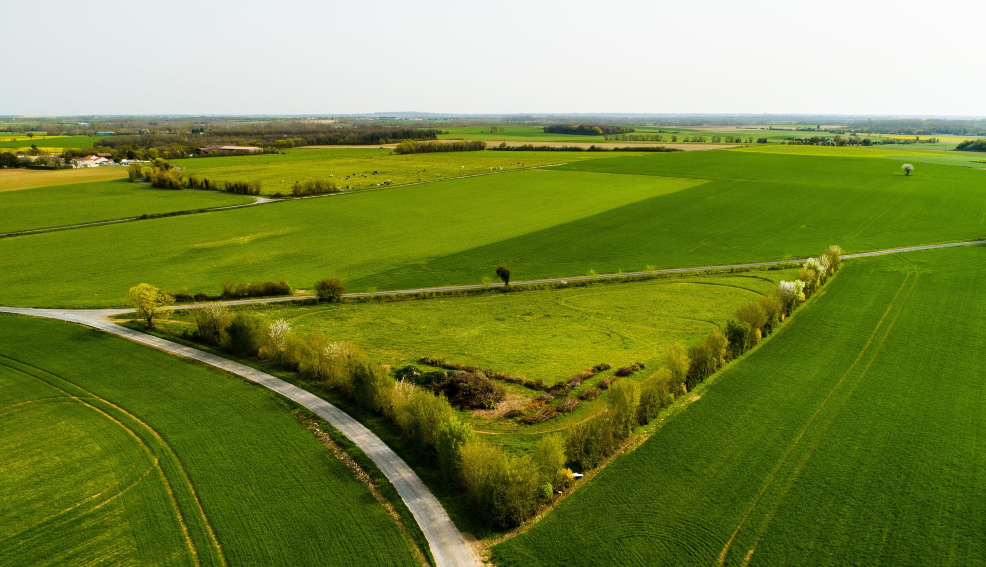 Les terrains que nous recherchons - Créateur de forêt